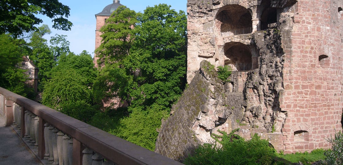 【ドイツ留学】F+U Academy of Languages, Heidelberg（ハイデルベルク） | 留学タイムズ